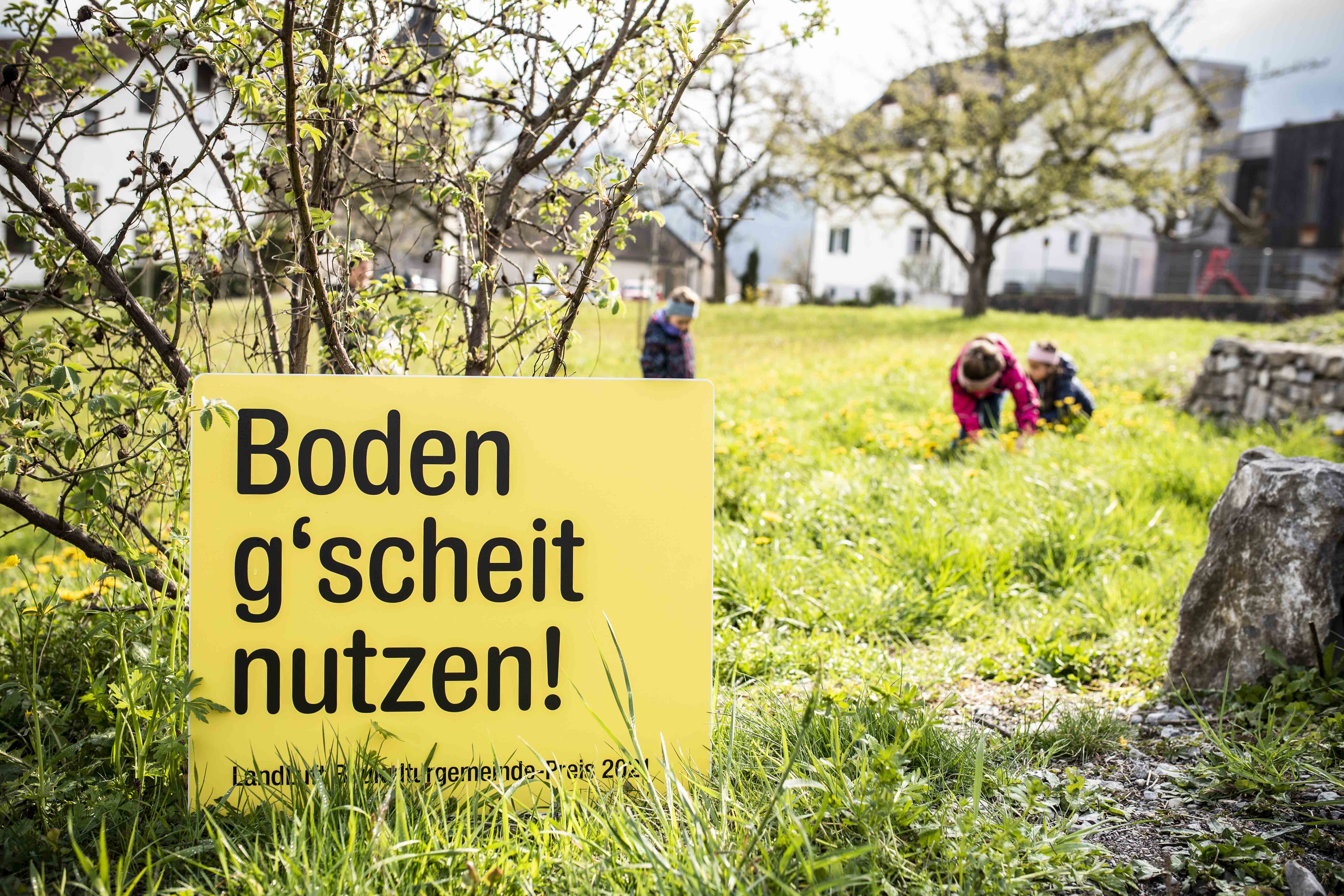 Boden g‘scheit nutzen! — Architektur Haus Kärnten